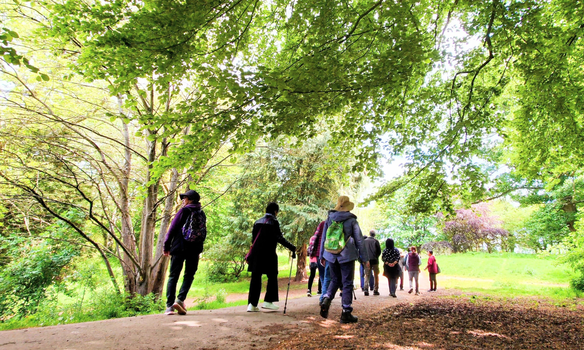 Chinese Community Wellbeing Society – Supporting the Chinese speaking ...